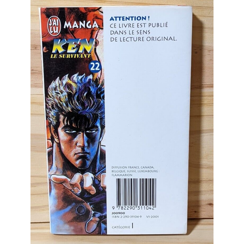 Ken le Survivant (Hokuto no Ken) T. 22 Le Cimetière de Ryûken ...