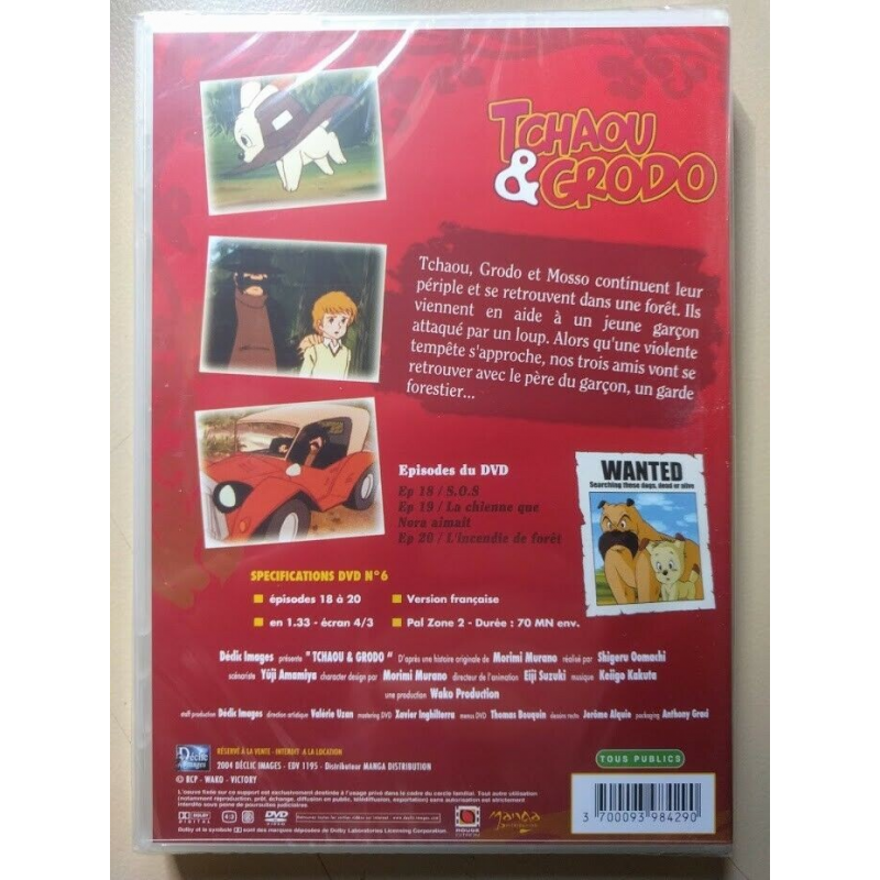 Rémi Sans Famille vol. 1 - DVD - IDP - TMS